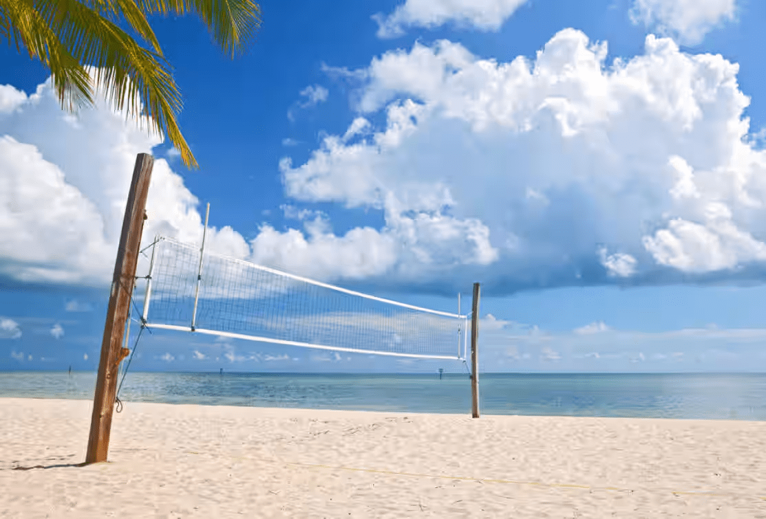Volleyball Court Dimensions: Official Size, Net Height & Layout Guide